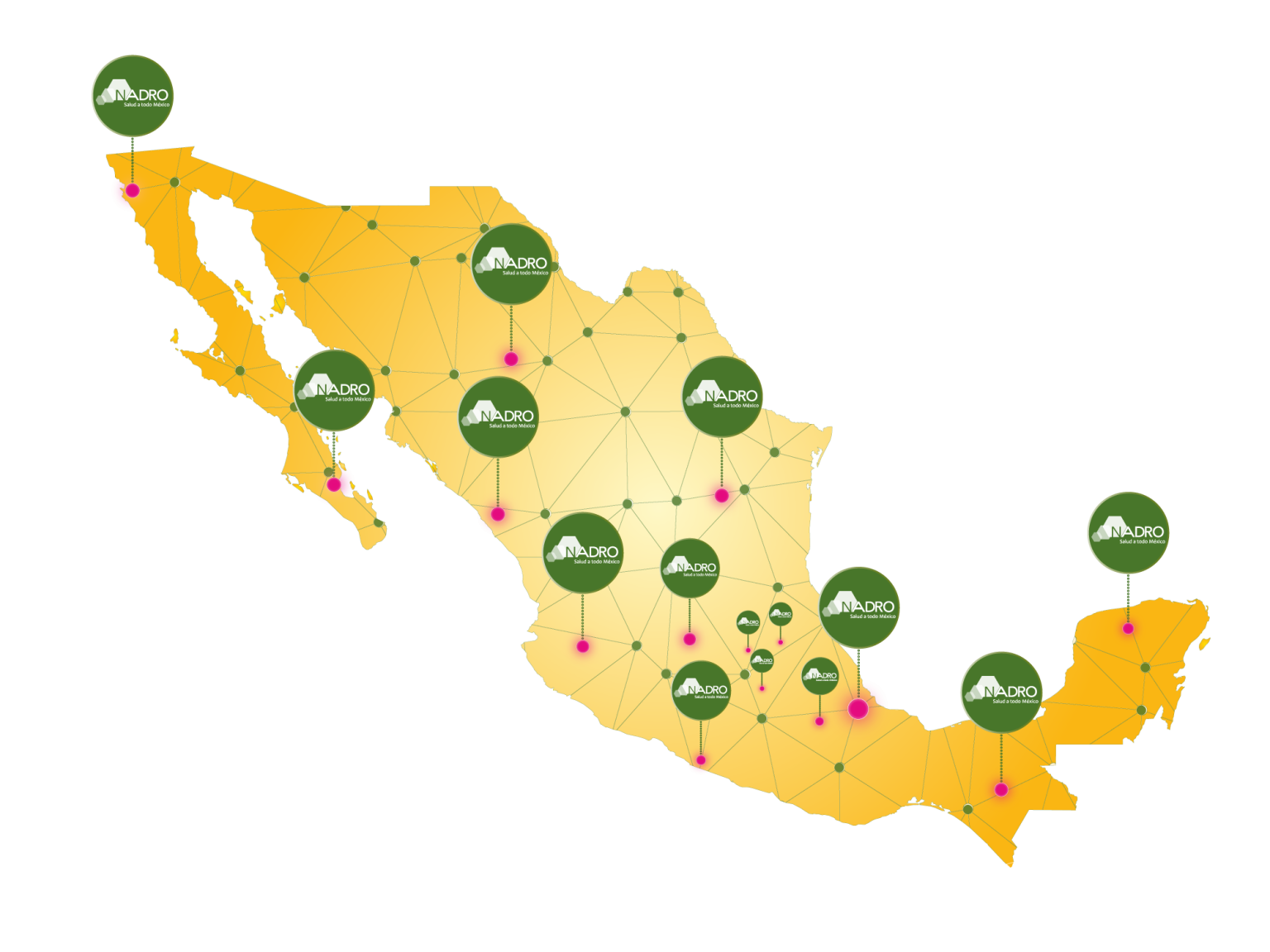Inicio - Nadro